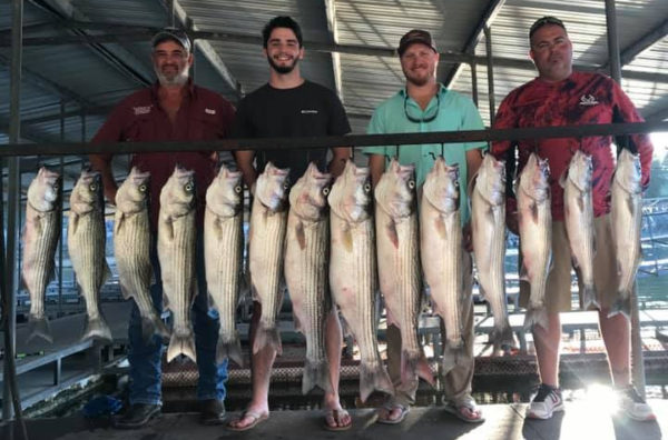 Freshwater Fishing - Guaranteed Guide Service - Lake Whitney Fishing Guide